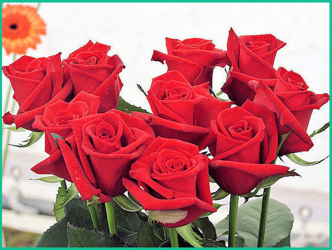 A(1041) 画像お遊び: maechan