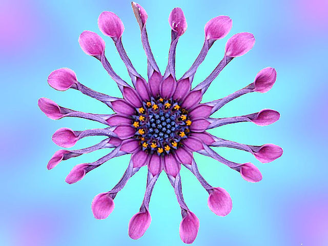 A(1063) 画像お遊び: maechan