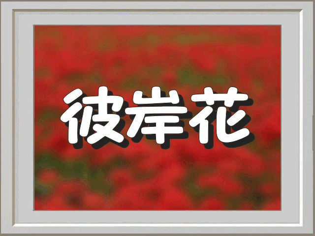 A(1082) 画像お遊び: maechan