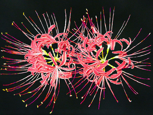 A(1101) 画像お遊び: maechan