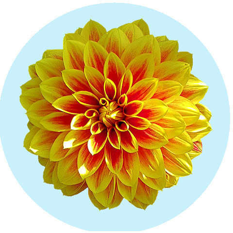 A(1126) 画像お遊び: maechan