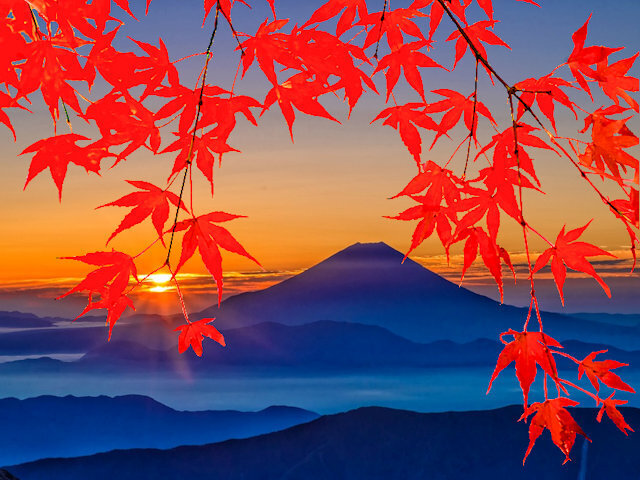 A(1187) 画像お遊び: maechan