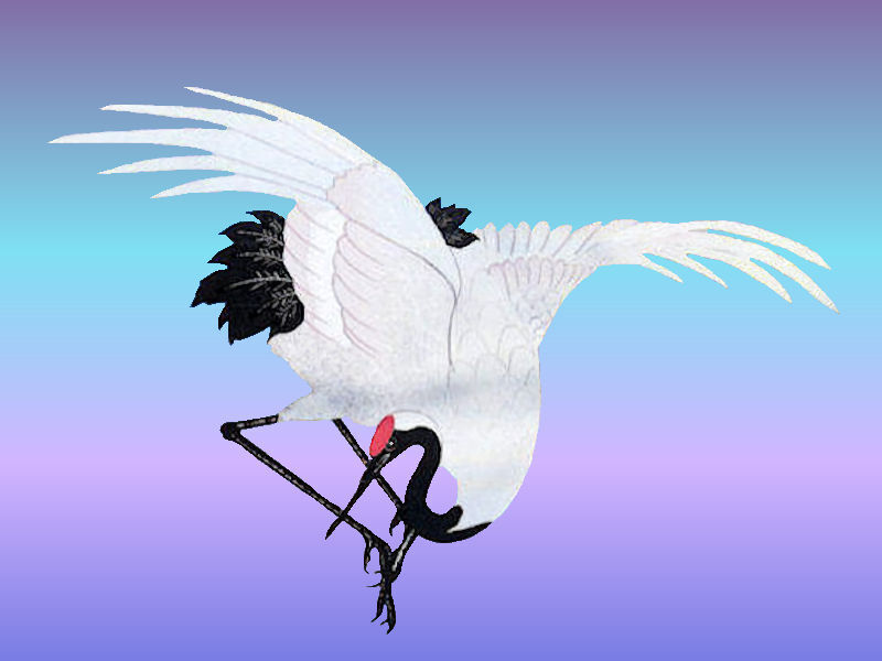 A(1245) 画像お遊び: maechan