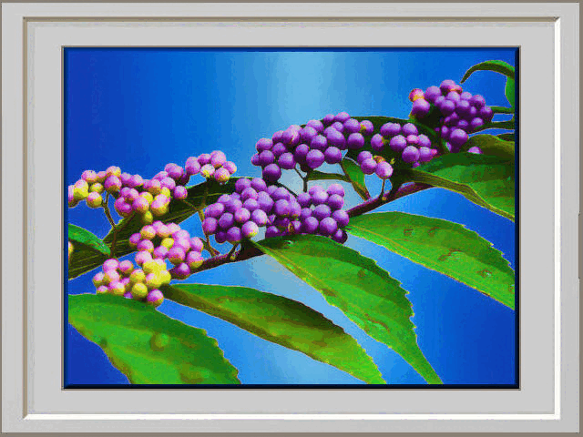 A(1677)画像お遊び: maechan