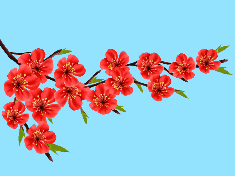 Z(090) PNG画像倉庫: maechan2