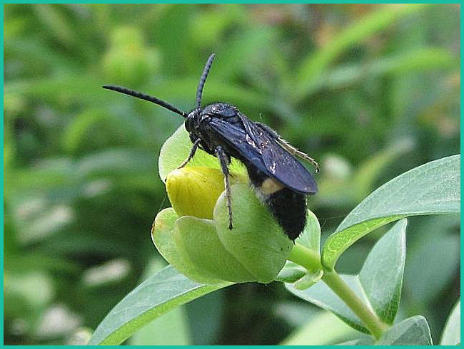 A(2426) 画像お遊び 雑ー6: maechan