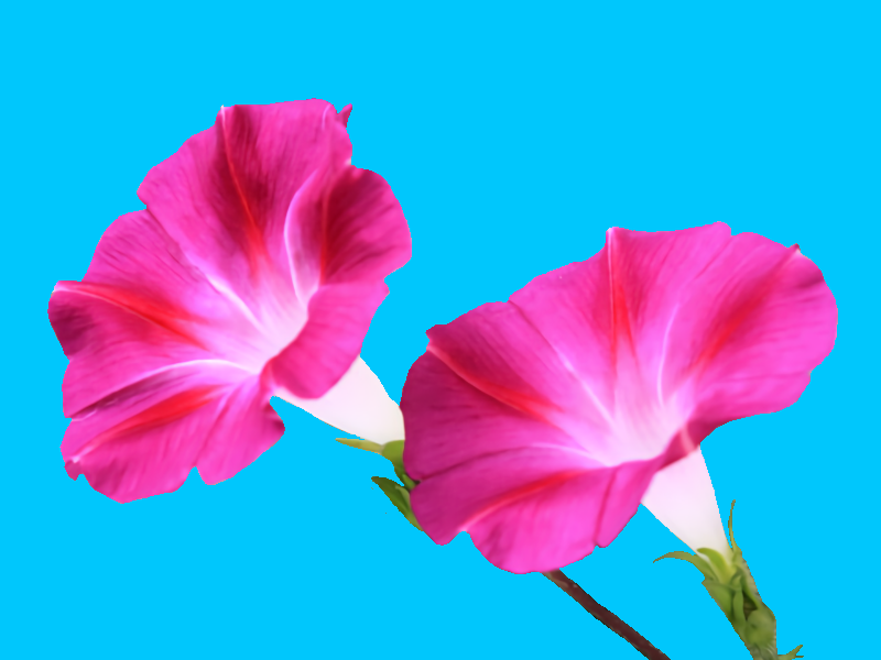 A(1907) 画像お遊び PNG画像集: maechan