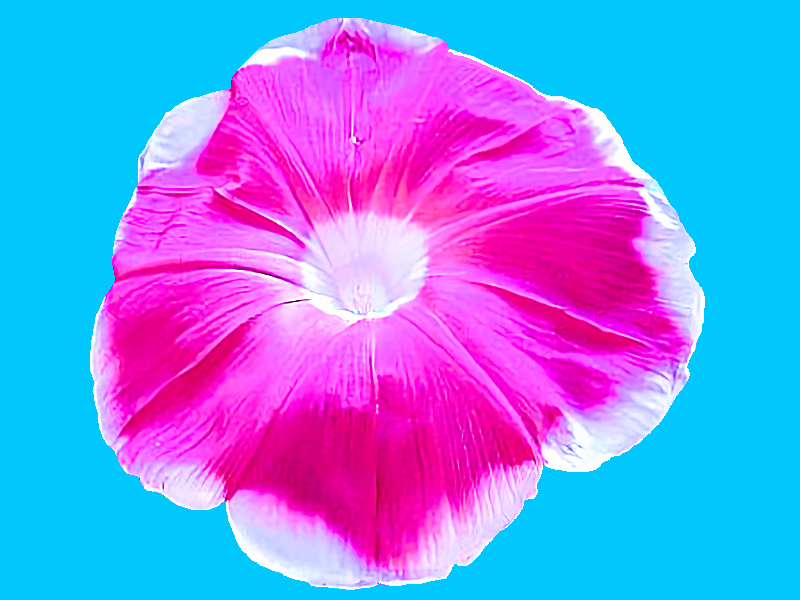 A(1907) 画像お遊び PNG画像集: maechan