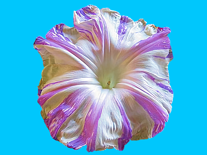 A(1907) 画像お遊び PNG画像集: maechan