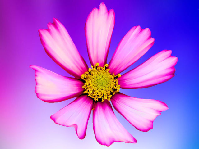 A(1620) 画像お遊び: maechan