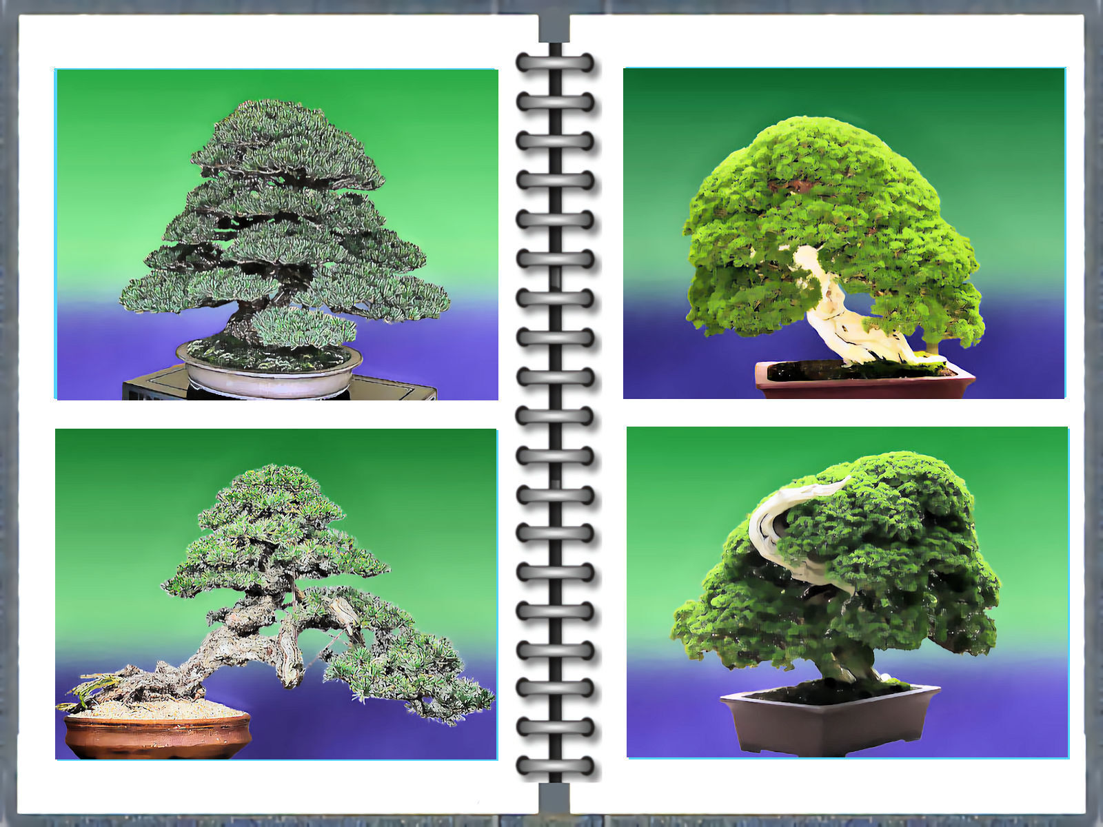 A(1632) 画像お遊び: maechan