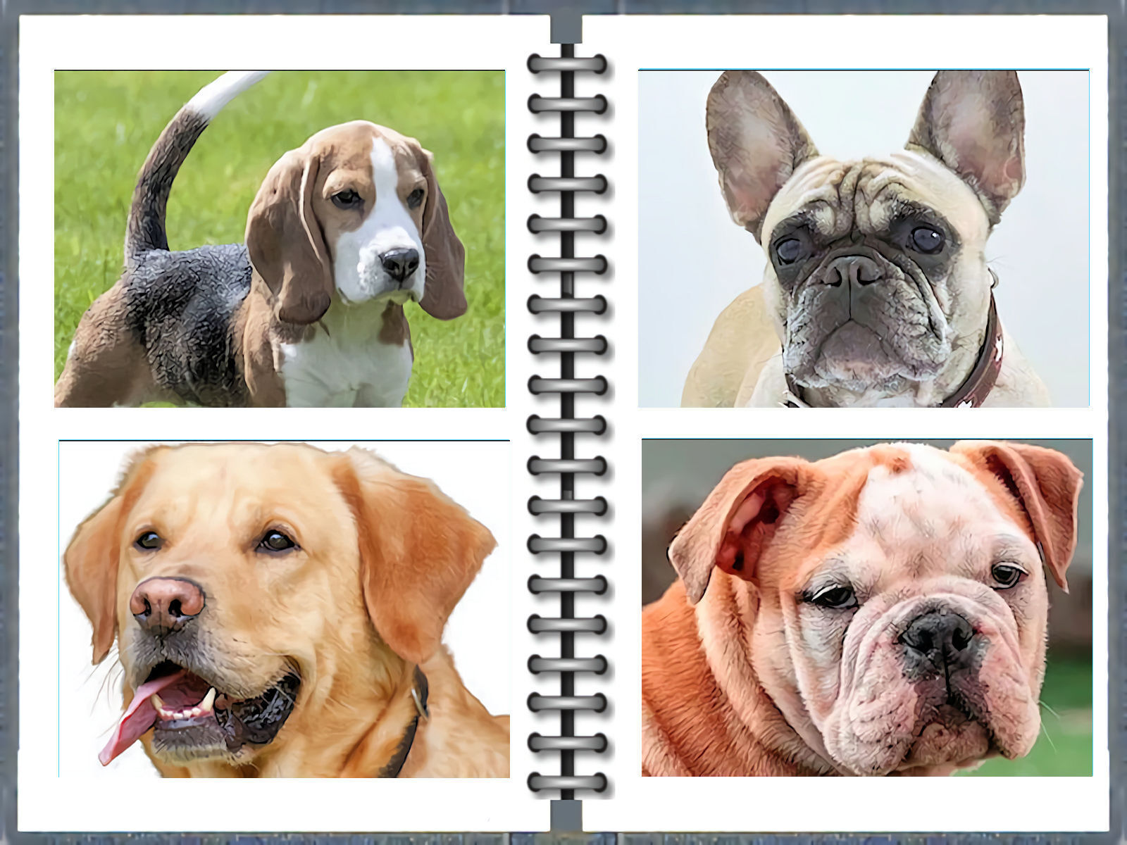 A(1633) 画像お遊び: maechan