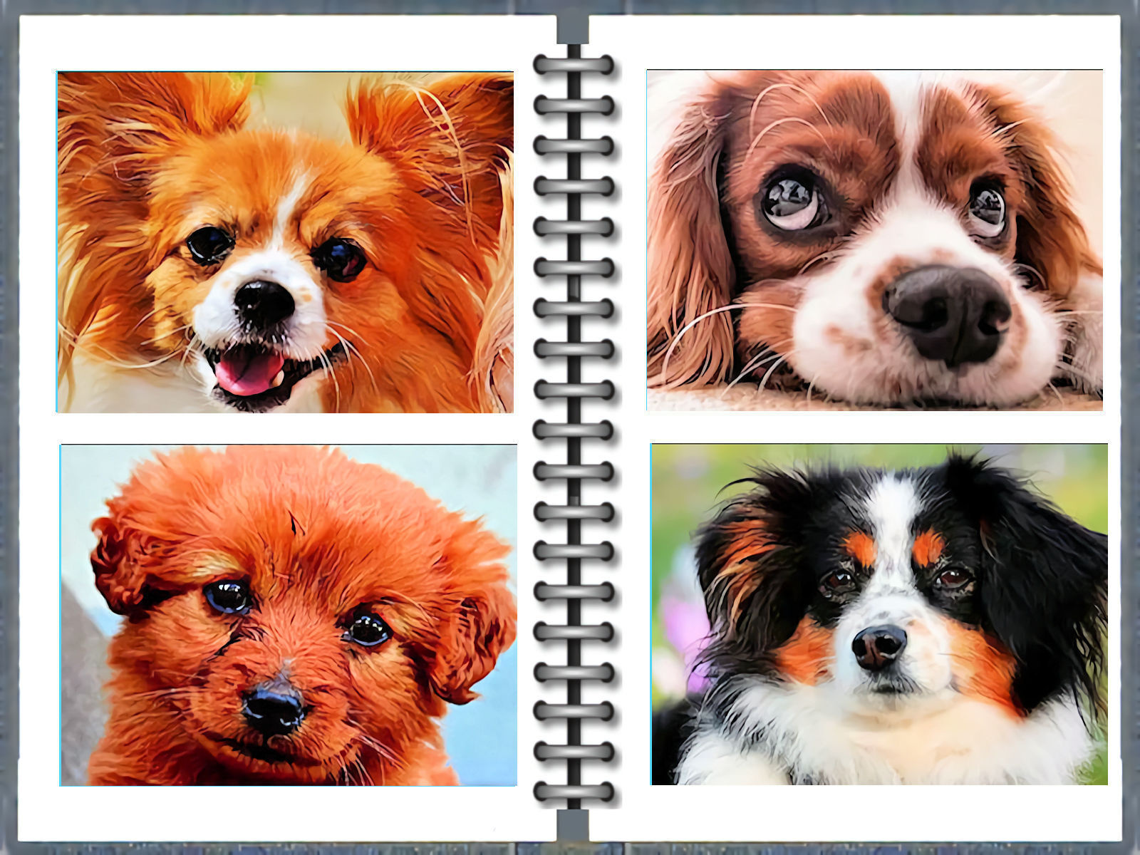 A(1633) 画像お遊び: maechan