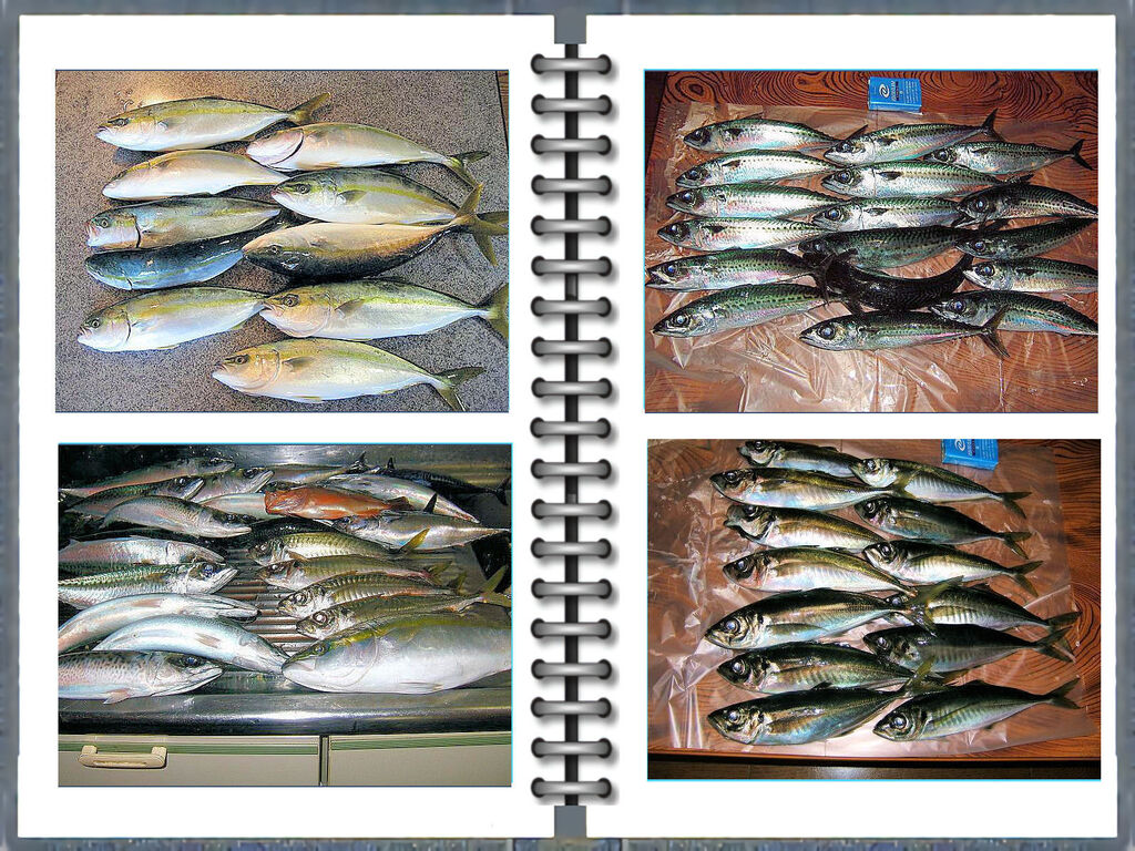 A(1639) 画像お遊び: maechan