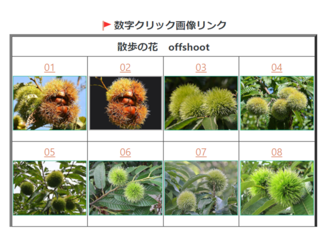 A(1867) 画像お遊び: maechan