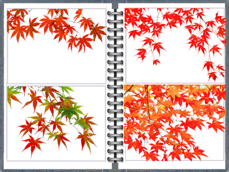 A(1922) 画像お遊び: maechan