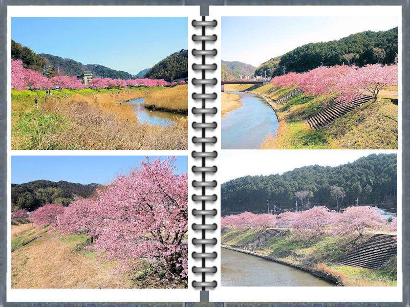 A(1999) アルバム素材集ー39: maechan