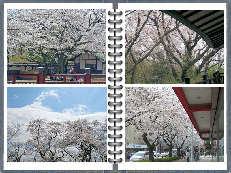 A(1999) アルバム素材集ー39: maechan