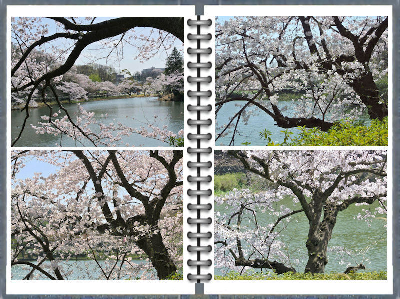 A(1999) アルバム素材集ー39: maechan