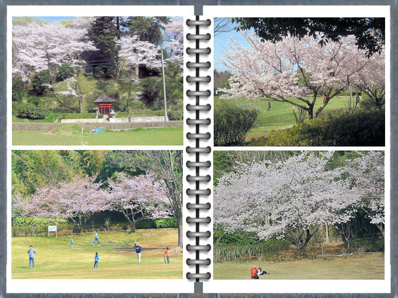 A(1999) アルバム素材集ー39: maechan