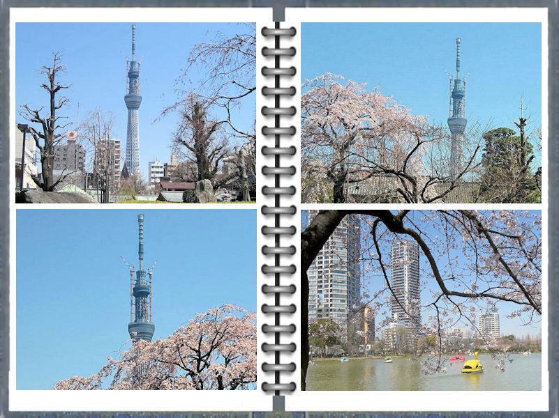 A(1999) アルバム素材集ー39: maechan