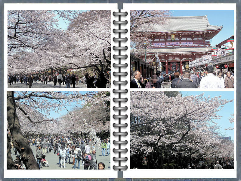 A(1999) アルバム素材集ー39: maechan