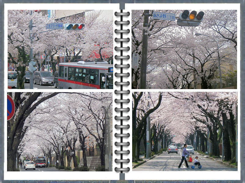 A(1999) アルバム素材集ー39: maechan