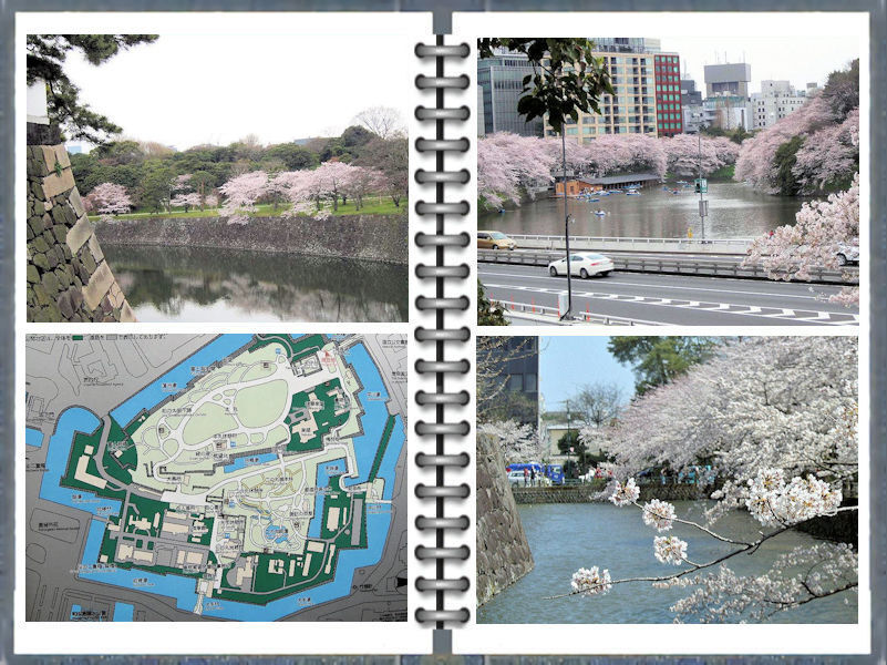 A(1999) アルバム素材集ー39: maechan