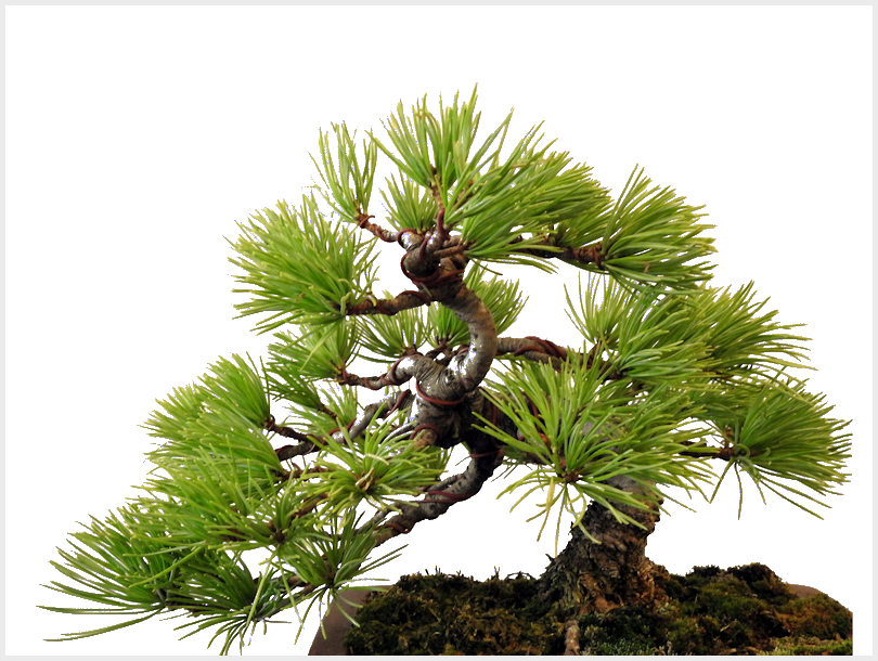 A(2176) 画像お遊び: maechan