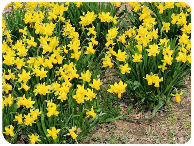 A(2180) 春を待つ (4): maechan