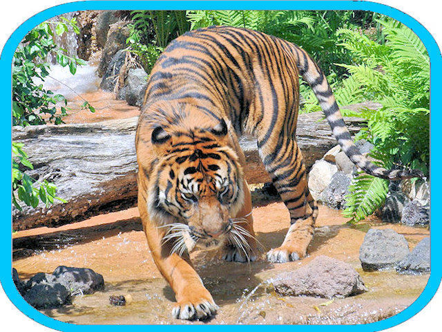 A(2319) エトセトラ-9: maechan