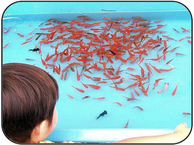 A(2328) エトセトラ-14: maechan