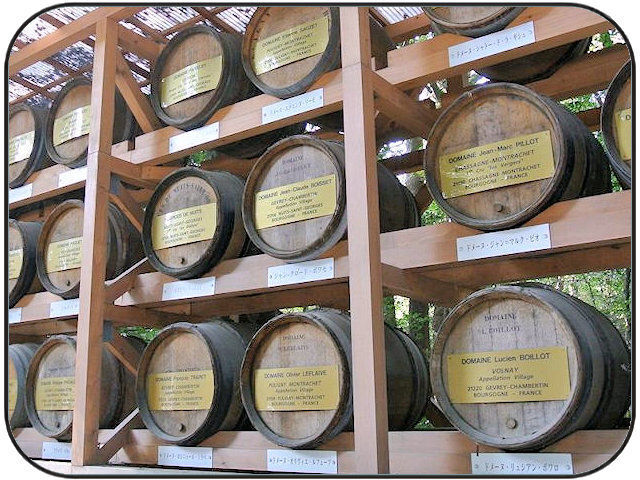 A(2328) エトセトラ-14: maechan