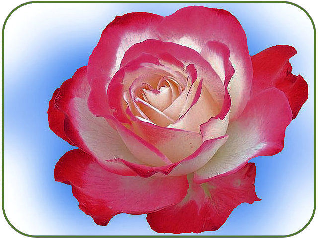 A(2331) エトセトラ-17: maechan