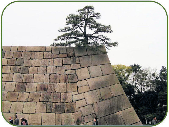 A(2333) エトセトラ-19: maechan