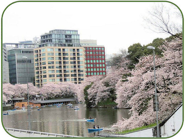 A(2333) エトセトラ-19: maechan