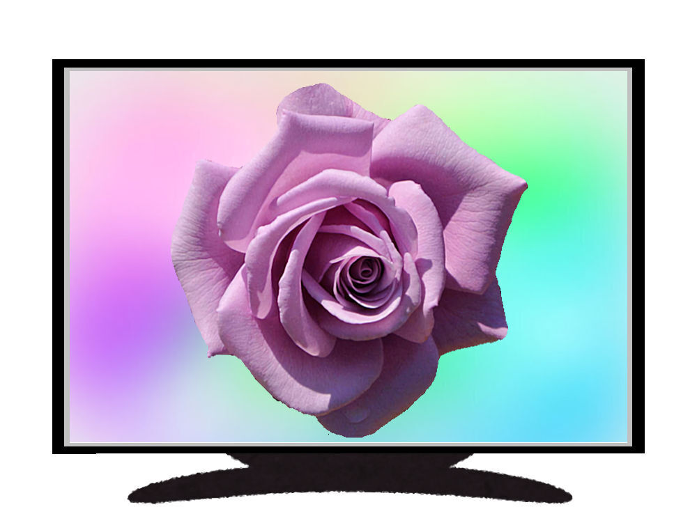 A(2369) 画像お遊び: maechan