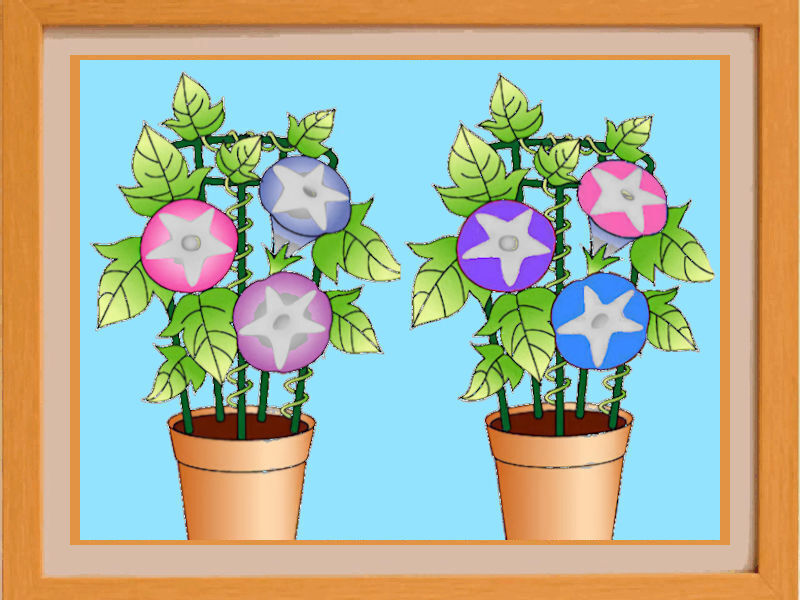 A(2375) 画像お遊び: maechan