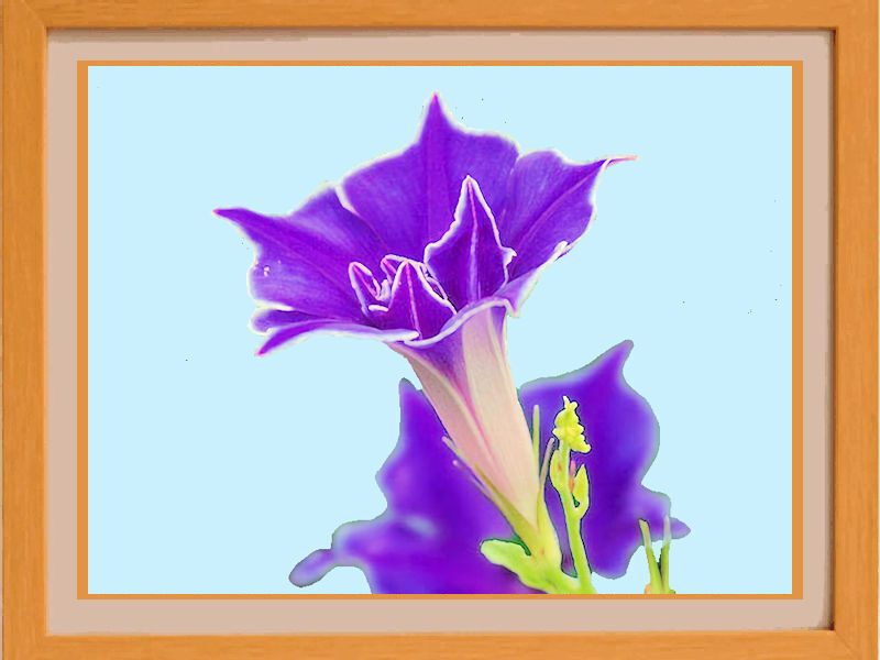 A(2375) 画像お遊び: maechan