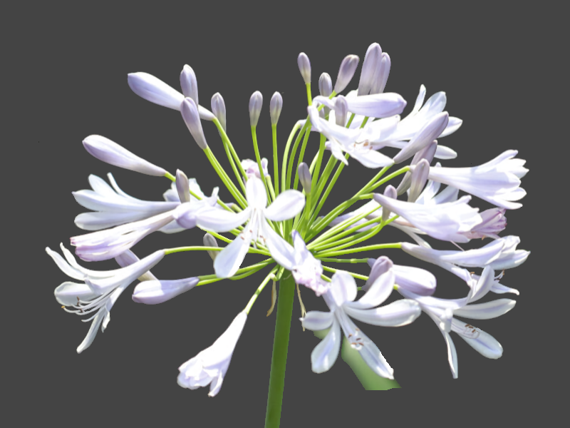 A(2377) 画像お遊び: maechan