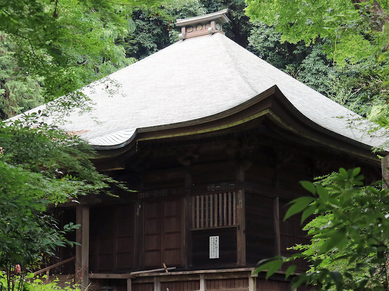 A(2383) 今日の散歩-2: maechan