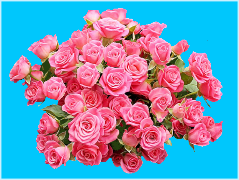 A(2516）画像お遊び: maechan