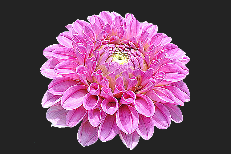 A(2572）画像お遊び: maechan