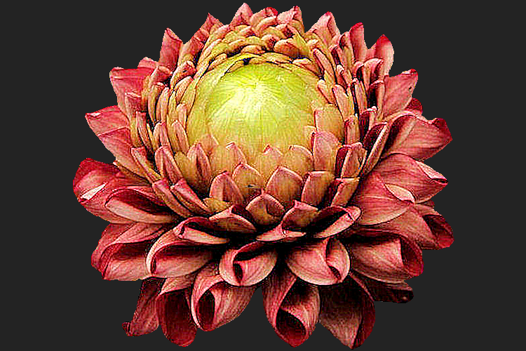 A(2577）画像お遊び: maechan