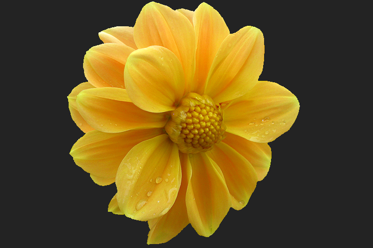 A(2577）画像お遊び: maechan