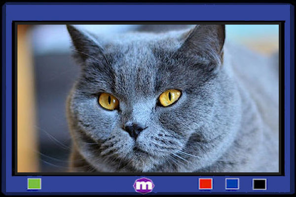 A(2422) 画像お遊び 雑ー2: maechan