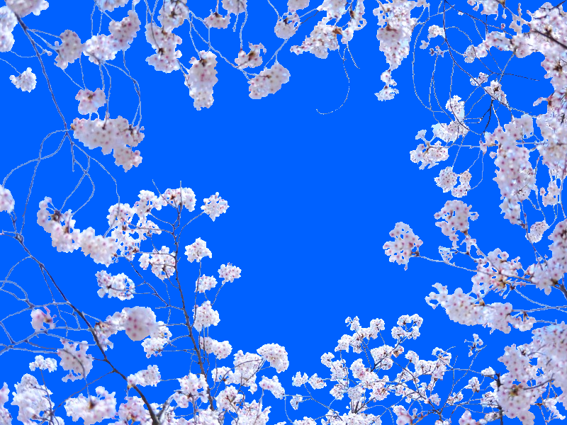 A(1368) 画像お遊び: maechan