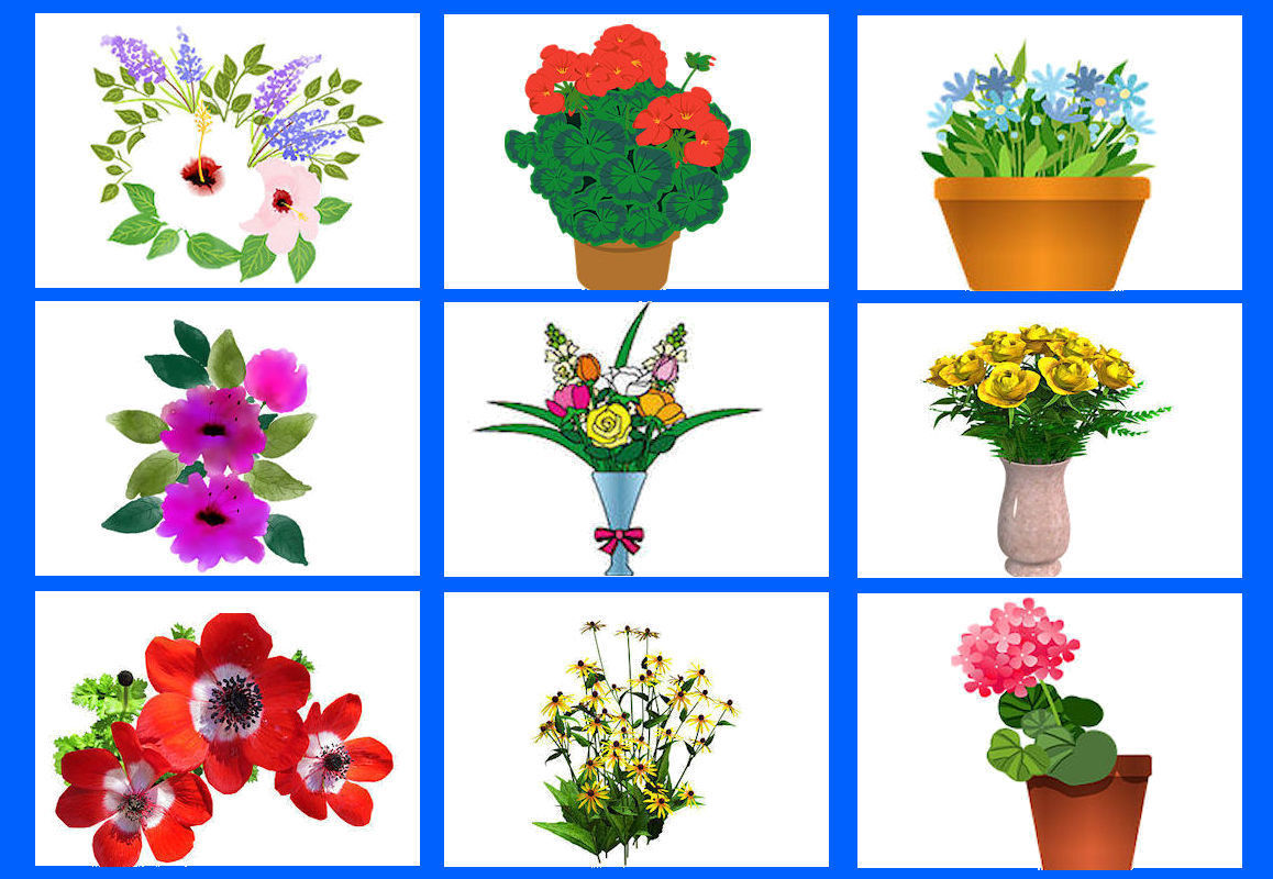 Z(039) 画像倉庫: maechan2