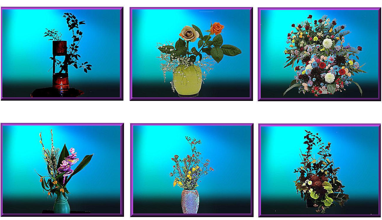 Z(042) 画像倉庫: maechan2