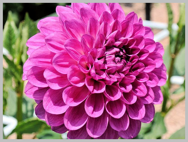 A(500) 雑記/追憶: maechan